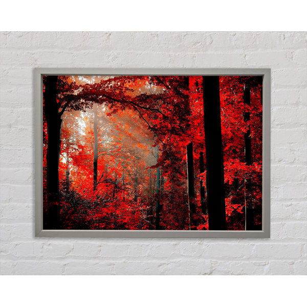 Union Rustic Red Forest Delight - Einzelner Bilderrahmen Kunstdrucke auf Leinwand | Wayfair.de
